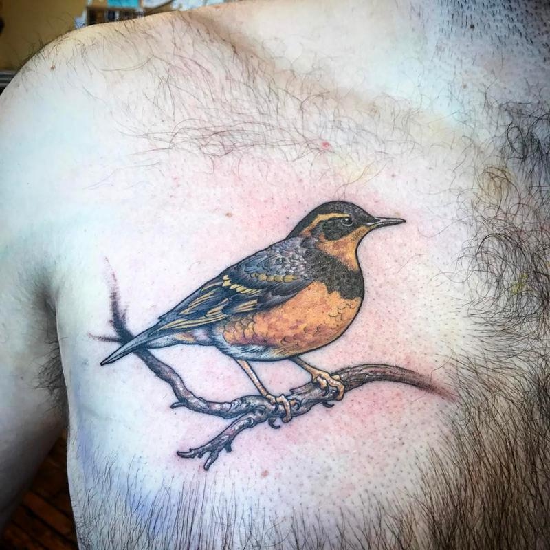Robin Bird Tattoo Chest