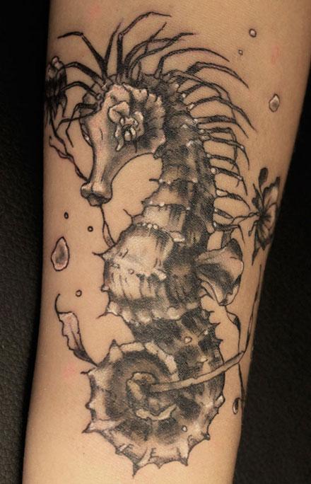 seahorse by Aubrey Mennella: TattooNOW