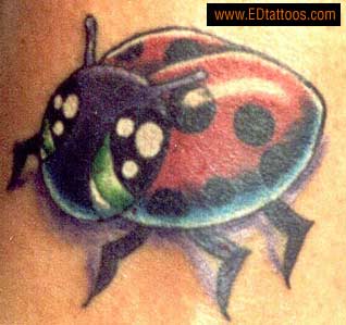 Ladybug Tattoo by Ed Perdomo: TattooNOW