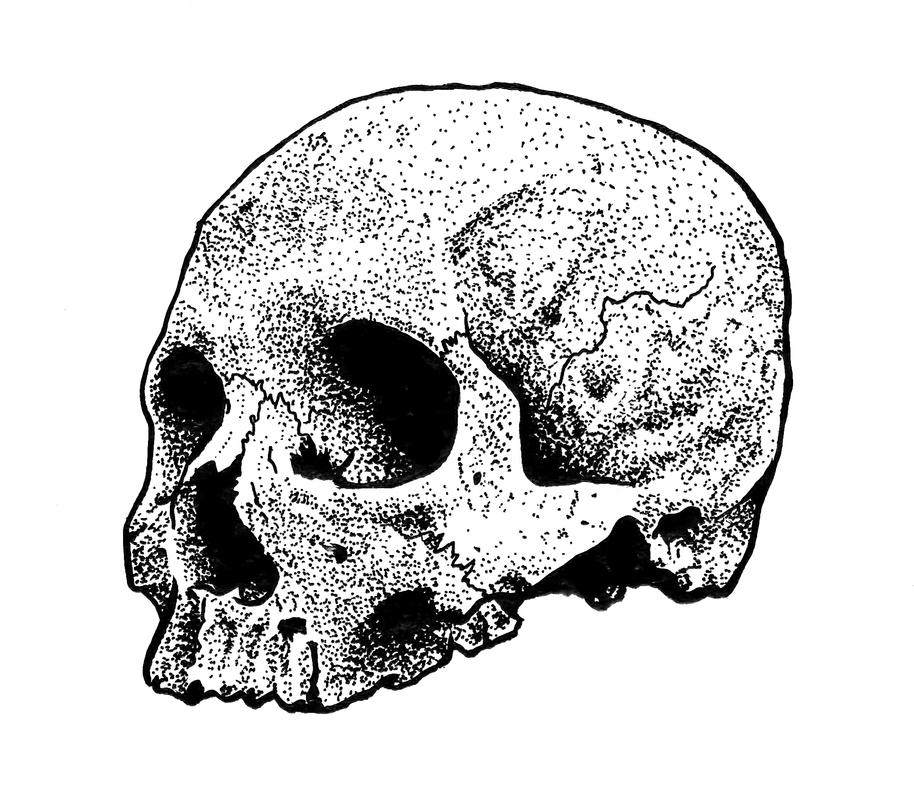 Dotwork Skull Drawing by Ben Licata: TattooNOW