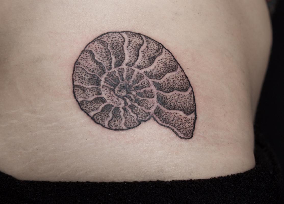 Ammonite Tattoo