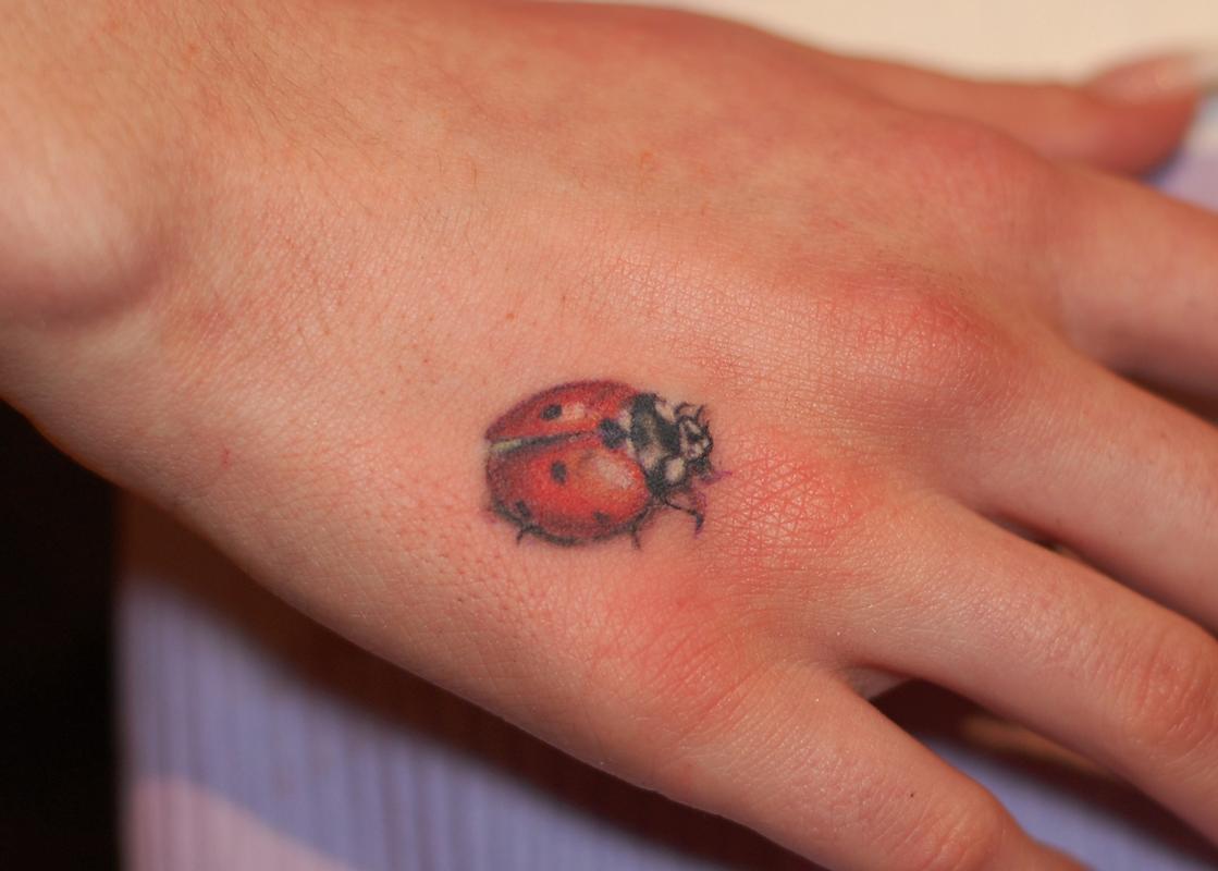 Ladybug Tattoo Realistic