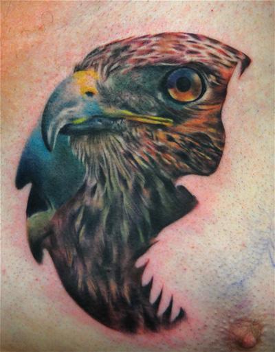 Hawk Tattoo by Carlos Rojas: TattooNOW