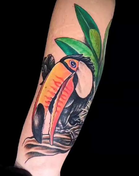 Marcus Judd Toucan by Marcus Judd: TattooNOW