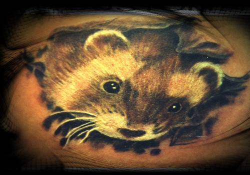 ferret by Brian Hopson: TattooNOW