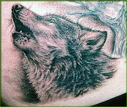 Shane Oneill Animal Tattoo