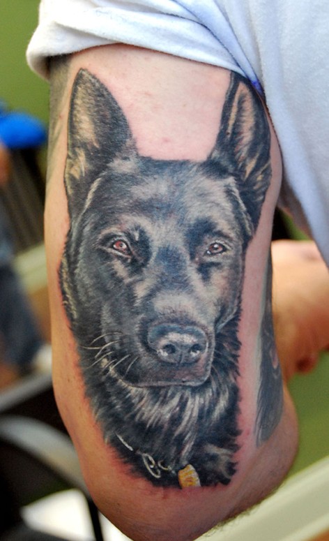color portrait K9 police dog by Shane ONeill: TattooNOW