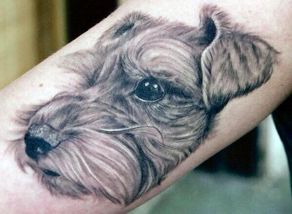 Rosie the terrier by Edward Lott: TattooNOW