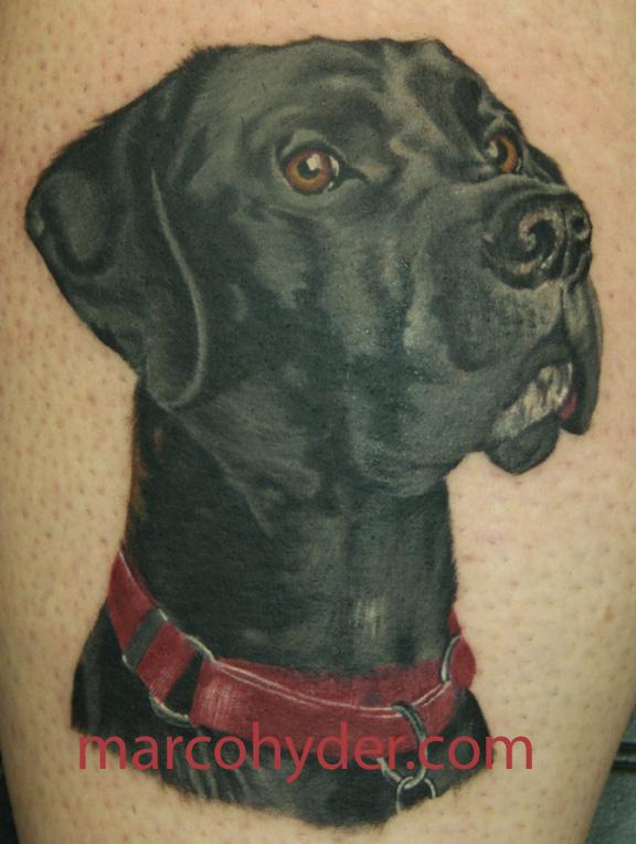 Black dog color portrait by Marco Hyder: TattooNOW