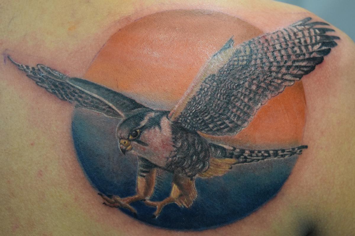 Falcon Shoulder Tattoo