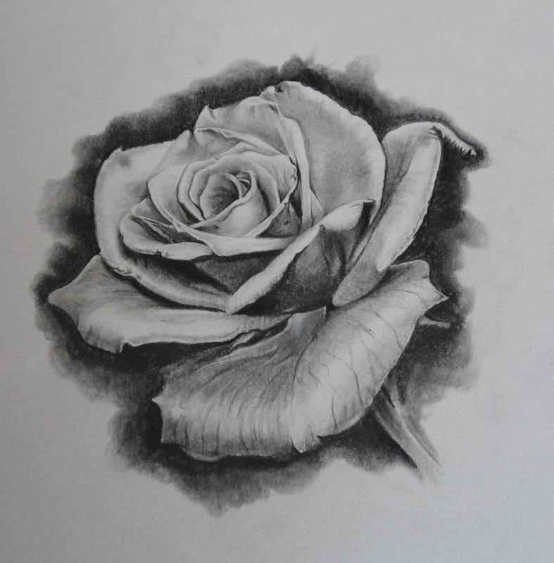 Rose Study by Rakhee Shah: TattooNOW