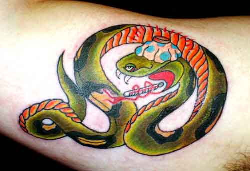 Sick Python by Alex Sherker: TattooNOW