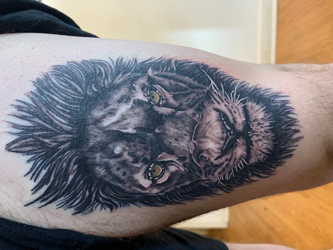 Scarred lion by bubba underwood (PORTLAND): TattooNOW