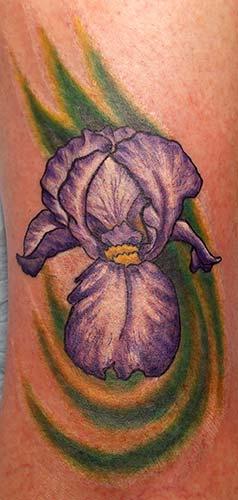 Purple Bearded Iris Tattoo By Boston Rogoz TattooNOW Purple Bearded Iris Tattoo By Boston Rogoz TattooNOW