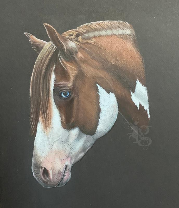Prismacolor Horse Drawing by Haylo by Haylo: TattooNOW